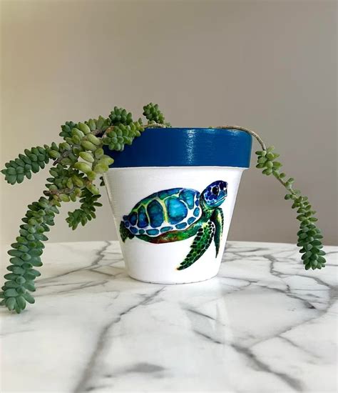 Sea Turtle Clay Pot 6 Terracotta Pot Sea Turtles Sea Etsy Canada