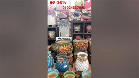 다육식물 다육이수제화분 Succulent Sh0rts 다육식물키우기 주물럭화분 Youtube