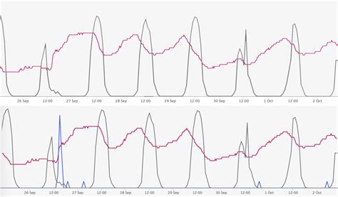 The Secret Life Of Trees Columbia Science Commits