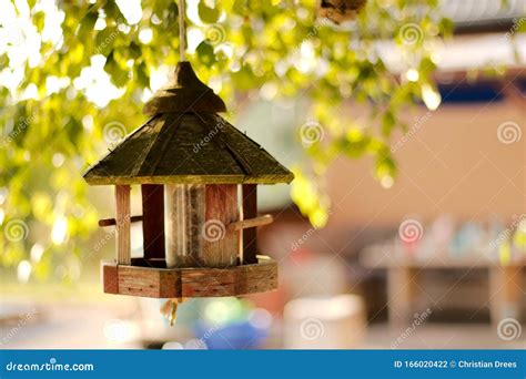 Bird Feeder Hanging On A Tree Stock Photo Image Of House Sunlight 166020422