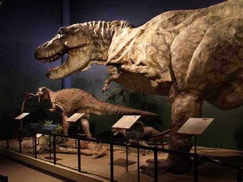 Dinosaurs At The Creation Museum Creation Museum