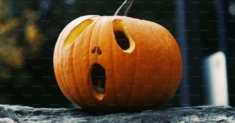 바위 위에 앉아 있는 조각된 호박 사진 Unsplash의 새겨진 호박 이미지