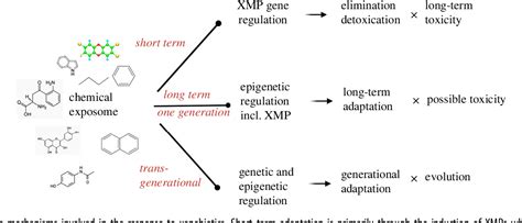 Figure 3 From Costs Of Molecular Adaptation To The Chemical Exposome A