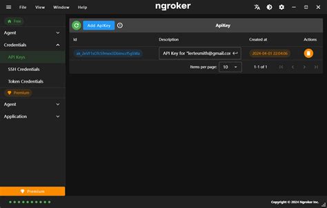 Api Keys Ngroker Free Ngrok Gui Client