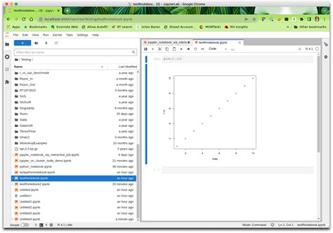 Jupyterlab University Research Computing Facility