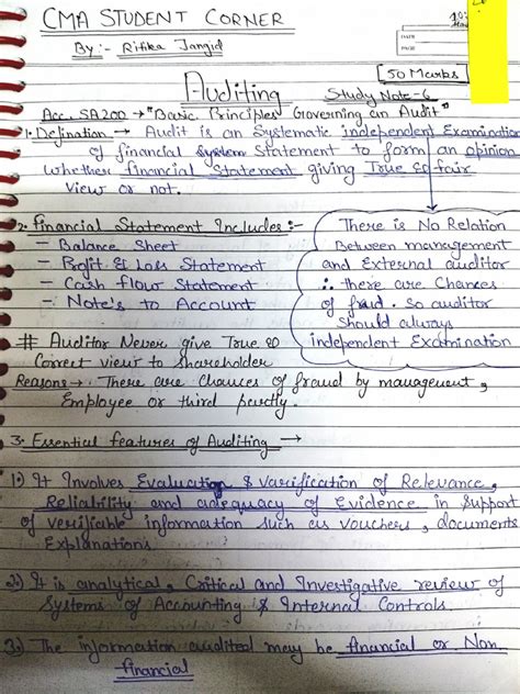 Cma Inter Handwriting Notes Of Complet Audit 50 Marks By Ritika Pdf