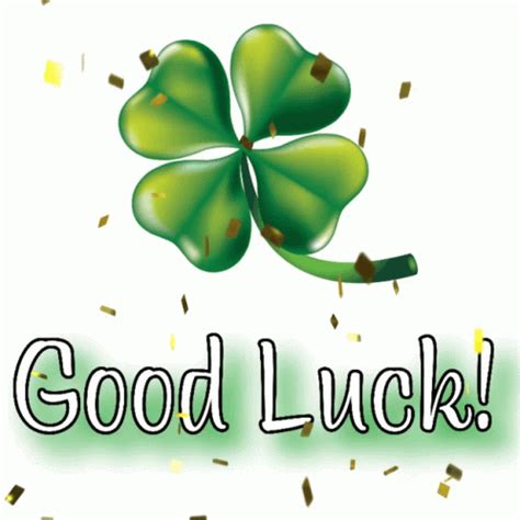 Good Luck Lucky  Good Luck Lucky Luck Discover And Share S Good Luck  Good Luck