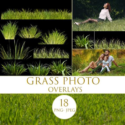 Grass Photo Overlays Glade Photoshop Overlays Grass Png Foreground