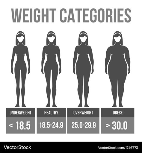 Woman Body Mass Index Royalty Free Vector Image
