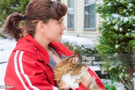 메인 Coon 고양이 눈에서 밖에 빨간 자 켓에 들고 하는 젊은 여자의 측면 프로필 갈기에 대한 스톡 사진 및 기타 이미지 갈기 겨울 긴 머리 Istock