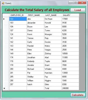 Display And Count Total Value Of Records In Datagridview In Vb Net
