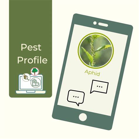 Pest Profile Aphids Capital Arborists