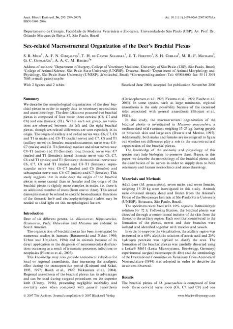 Pdf Sex Related Macrostructural Organization Of The Deers Brachial