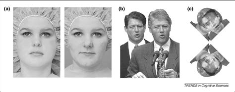 Figure 2 From The Many Faces Of Configural Processing Semantic Scholar