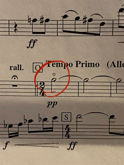 What Does This Notation Mean Rflute