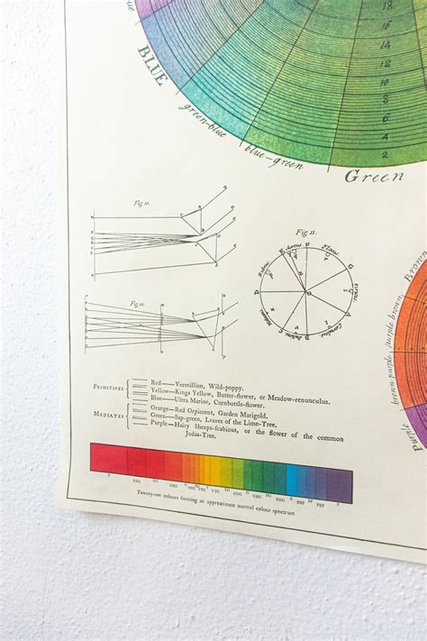 The System Of Colors Scientific Chart Etsy