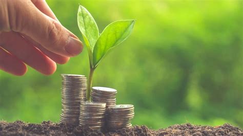 Земельный налог 2020 для юридических лиц и физических лиц РБ ставка налога на землю