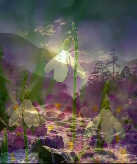 Majra Грім на голе дерево війна… ВІРШ Вірші поезія Клуб поезії