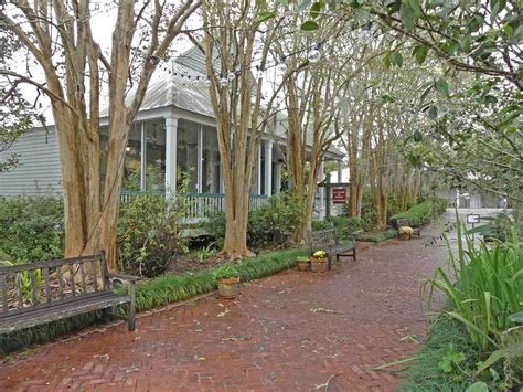 Explore Cajun Country 16 Fun Things To Do In Lafayette La