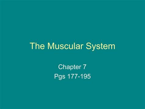 PPT The Muscular System PowerPoint Presentation Free Download ID 444159