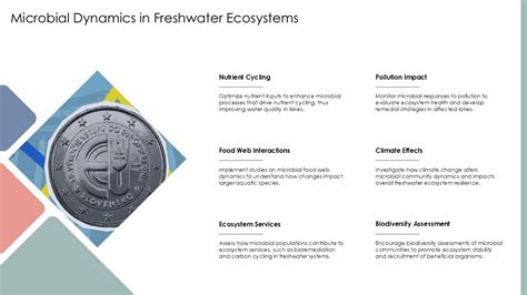 Microbial Dynamics In Freshwater Ecosystems Limnology Ppt Example St Ai