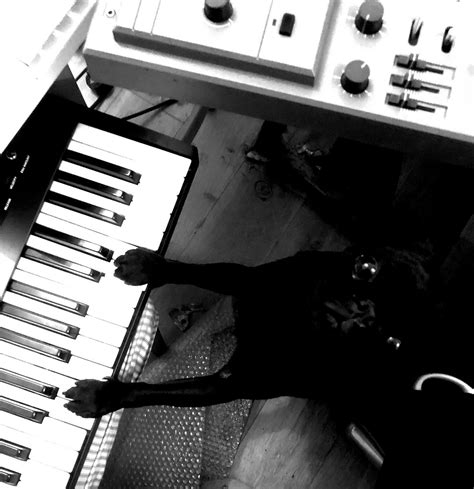 Living Room Demos Rkenedy