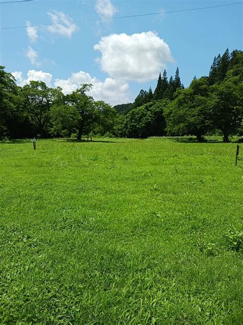 高徳陣屋の写真案内板 利信さん 攻城団