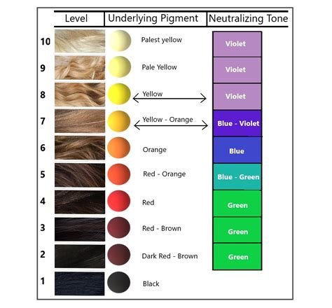 Hair Toner Charts