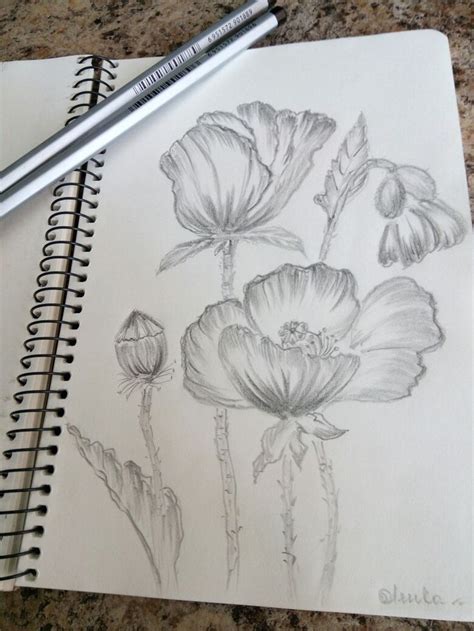 Как нарисовать мак карандашом 24 фото