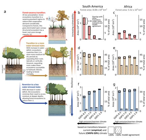 Comparing The Forest Transitions Under Different Ssp Scenarios A