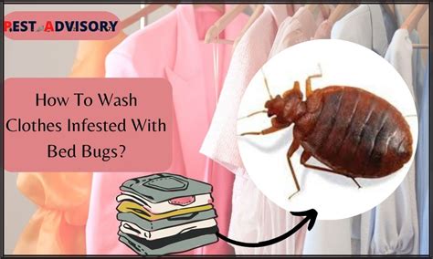 How To Wash Clothes With Bed Bugs
