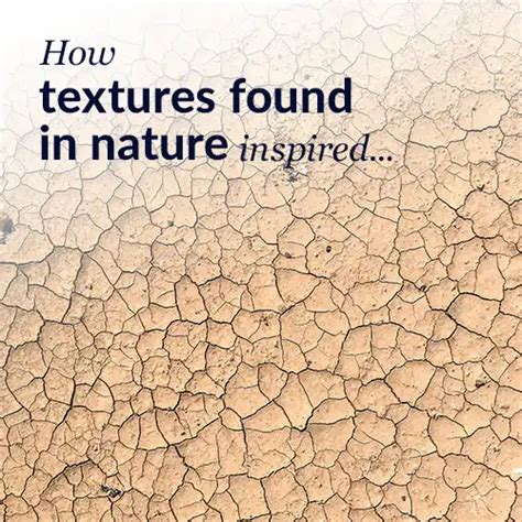 The Top 10 Best Biomimicry Examples Of 2022 So Far 🏆