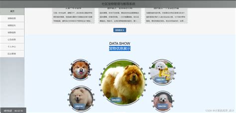 Java毕业设计社区宠物管理与推荐系统（springbootmysqljdk18maven339）宠物推荐系统 Csdn博客
