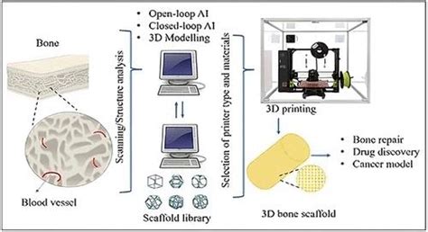 基于人工智能的3d打印骨支架制造策略及其在临床前和临床研究中的应用 Acs Biomaterials Science And Engineering X Mol