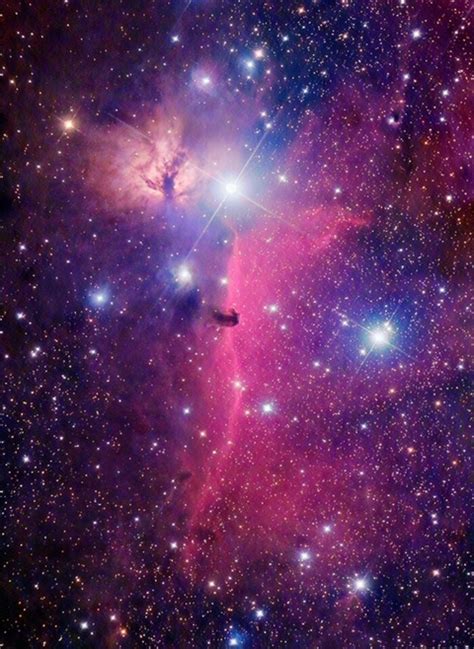 Onlyfans Leaks Danya Xox Leakedf