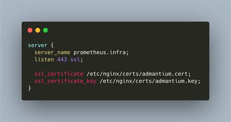 Nginx Reverse Proxy With Tls Encryption Admantium
