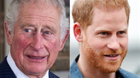 The Truth About Prince Charles And Prince Harrys Relationship