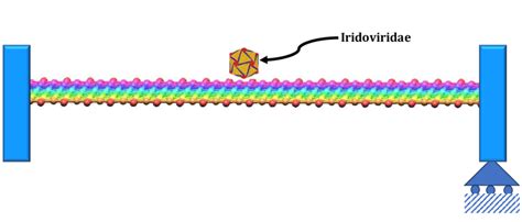 c simply supported with roller support boundary conditioned single