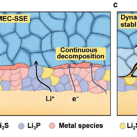 Schematic Diagram Of Interface Evolution Between Li Anode And Sulfide Download Scientific