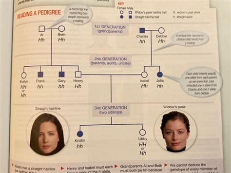 Evolution Quizlet Flashcards Quizlet