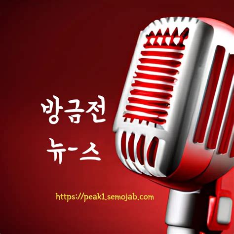 따니네 만들기 무료 도안 받기 인기동영상 Best 5