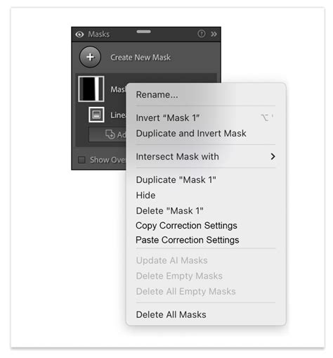 P Masking Copypaste Correction Settings Opti Adobe Community