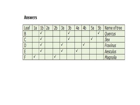 Classifying Animals And Phylum Arthropods Classifying Plants