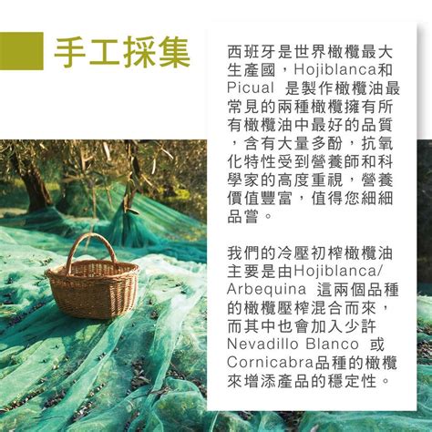 【松鼠的倉庫】獨家 頂級好油 聖加多 第一道 初榨冷壓橄欖油 500ml 黑瓶 西班牙 原裝進口 100 橄欖油 蝦皮購物