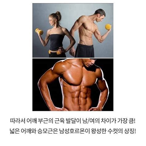 여자들이 어깨넓은 남자를 좋아하는 이유  인스티즈 Instiz 이슈 카테고리