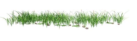 Grass For Revit