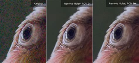 Removing Image Noise And Recovering Original Detail Seriously Photography