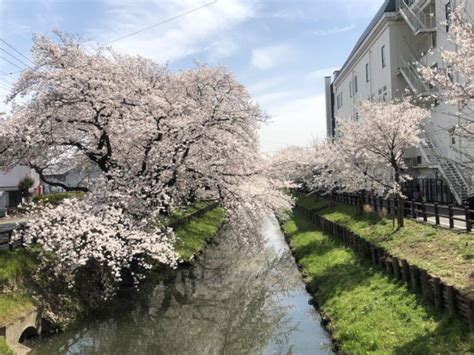 50 самых красивых мест Японии 2023