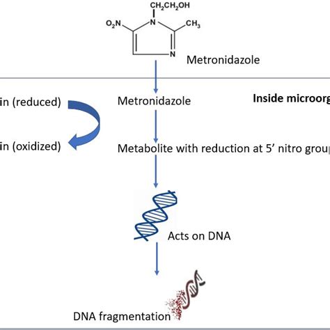 Pdf A Review On Hplc Method Development And Validation Of Metronidazole Tablet