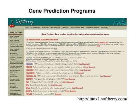 Ppt Gene Prediction In Bacteria And Eukaryotes Techniques And Tools Powerpoint Presentation
